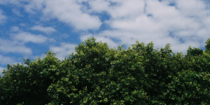 ห้าห่วง (Hahuang) กว่า 4 ทศวรรษแห่งนวัตกรรมวัสดุก่อสร้าง